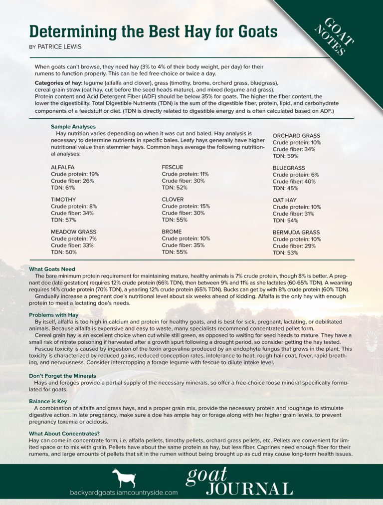 Goat Journal May/June 2020 - Goat Journal